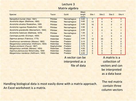Ppt Lecture 3 Matrix Algebra Powerpoint Presentation Free Download