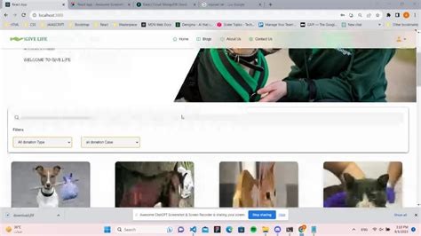 Our 7th Jwt Mern Project At Orange Coding Academy 🧡 Asma Rasheed