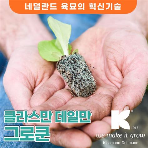 클라스만 데일만의 그로쿤 네이버 블로그