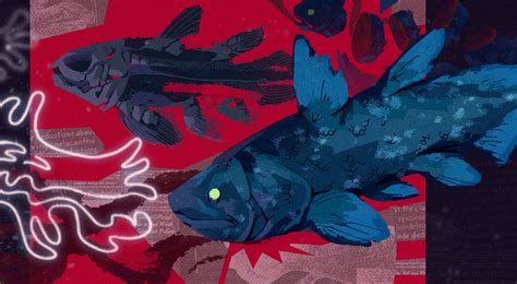 Coelacanth On Tumblr