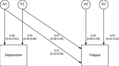Path Diagram Of The Bivariate Cholesky Model Variance Estimates With Download Scientific