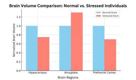 Effects Of Stress On The Brain How Chronic Stress Impacts Mental And Cognitive Health Vaidam
