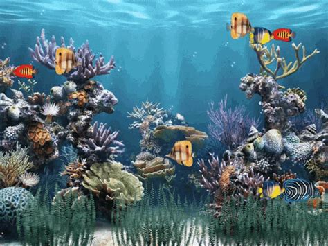 Adrians Worm Vibrant Underwater Coral Reef  Share And View On Klipy