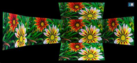 In Depth Comparison Acer Predator Helios Ph Vs Acer Nitro