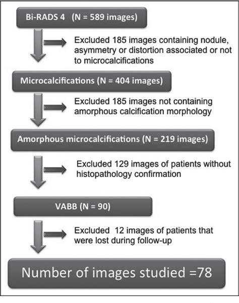 Figure 1 From Suspicious Amorphous Microcalcifications Detected On Full