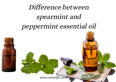 Difference Between Spearmint And Peppermint Essential Oil Vivorific