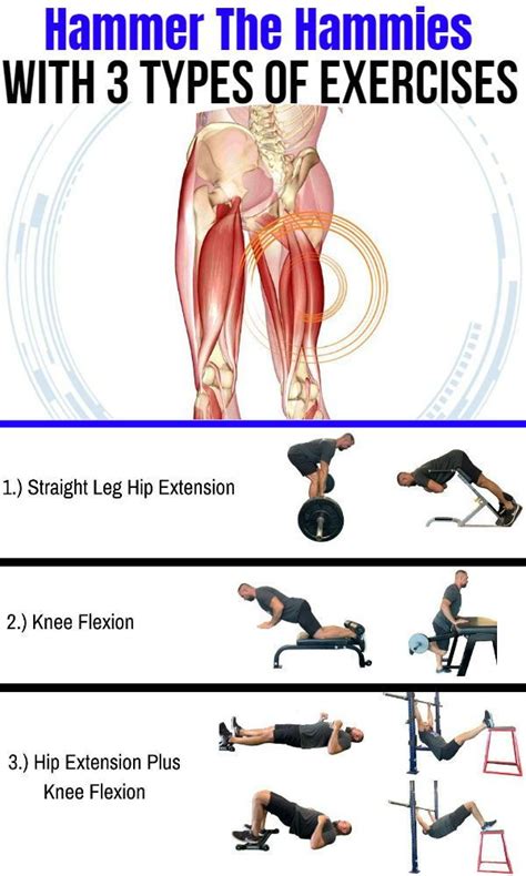 Hamstring Strengthening Exercises