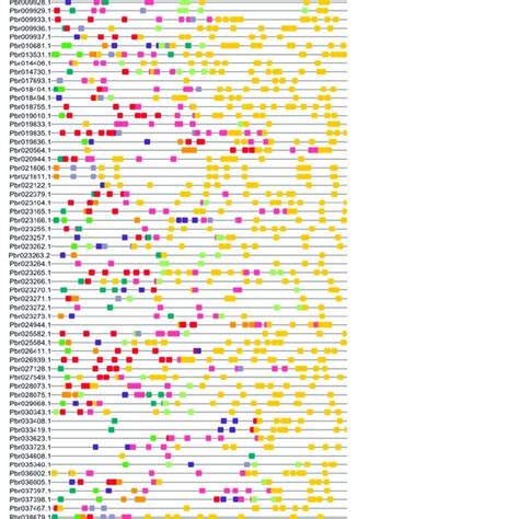 Promoter Cis Elements Of The 116 Pbrsaurs Promoter Cis Elements Of The Download Scientific