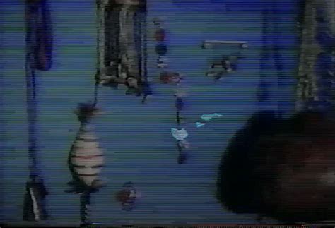 O Prazer Do Sexo Dir John Doo Porn Xhamster