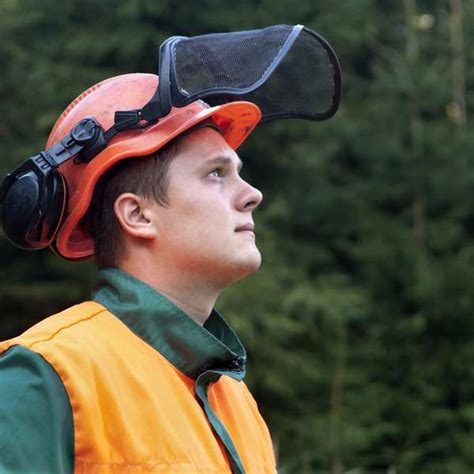 Level 2 Diploma In Practical Arboriculture Skills Dcg