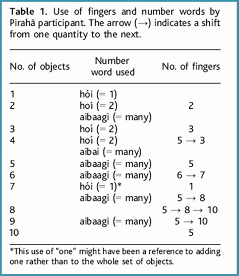 The Pirahã Controversy Numbers Part 2 Languages Of The World