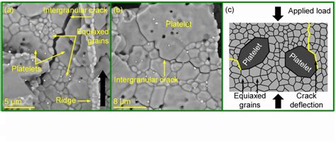A And B Crack Propagation Characteristics Within The Lamella Walls Download Scientific