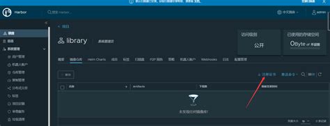 详解 k8s 高可用部署 kubernetes sandbox csdn博客
