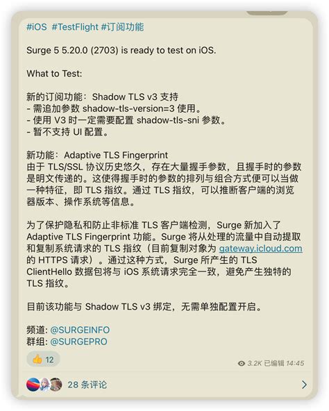 整点教程 整点猫咪