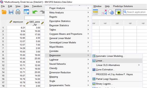 Çoklu Doğrusallık Nedir Multicollinearity Spss Yardimi İstatİstİk