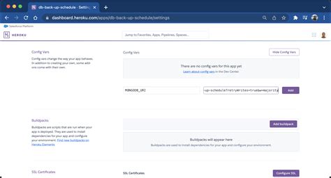 Schedule Database Backups For Mongodb In A Nodejs Application Circleci
