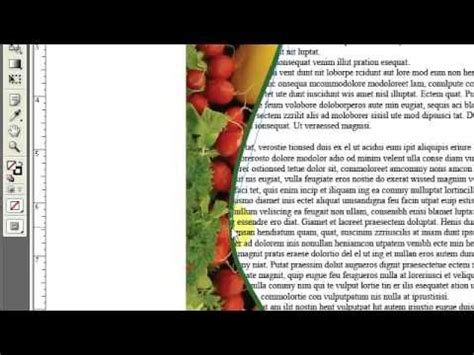 InDesign How To Wrap Text Around A Graphic