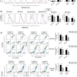 Complement C1q Binding Protein C1QBP Knockdown Impacts Tumor Download Scientific Diagram