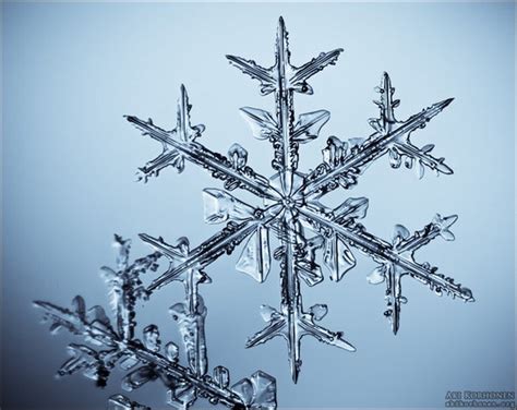 The True Story Behind The Snowflake Uniqueness