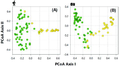 Principal Coordinates Analysis Pcoa Ordination Of The Mammal Download Scientific Diagram