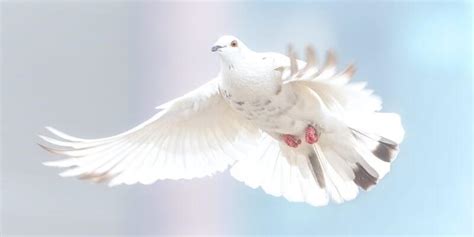 How To Find Inner Peace And Happiness Incl Mantras