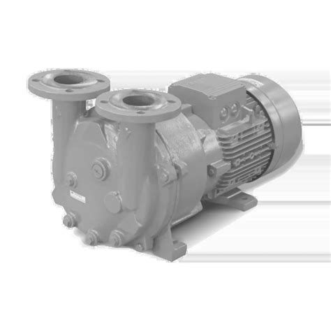 Bombas De Vacío De Anillo Líquido Reich Lrv 23h Calidad Asegurada