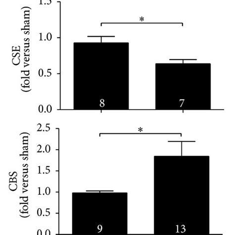 Exogenous H2s Increased Plasma H2s Levels And The Three H2s Producing