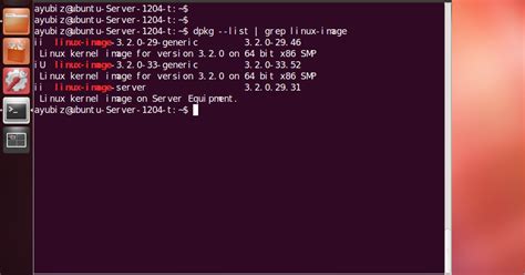 ubuntu server 安裝 unity 圖型界面