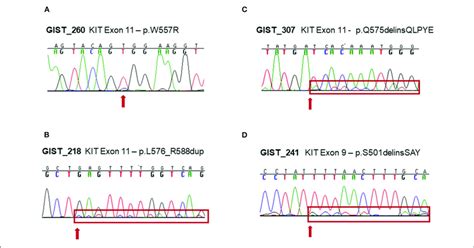 Experimental Validation Of Low Allele Fraction Mutations In Gist