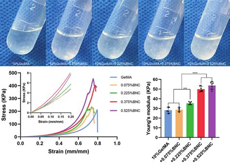 Preparation Of Hydrogel Precursor And Compression Tests Of Cylindrical Download Scientific