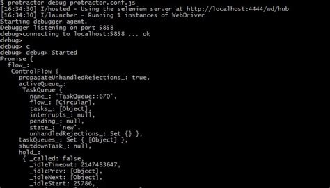 Debugging With Protractor