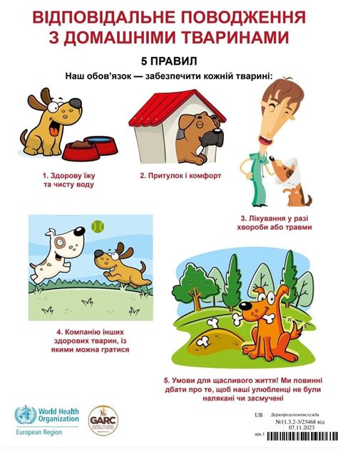 Українцям нагадали правила утримання домашніх тварин Вечірній Київ