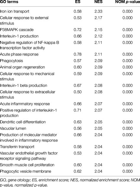 Top 20 Significant Go Terms Enriched By Differentially Expressed Genes