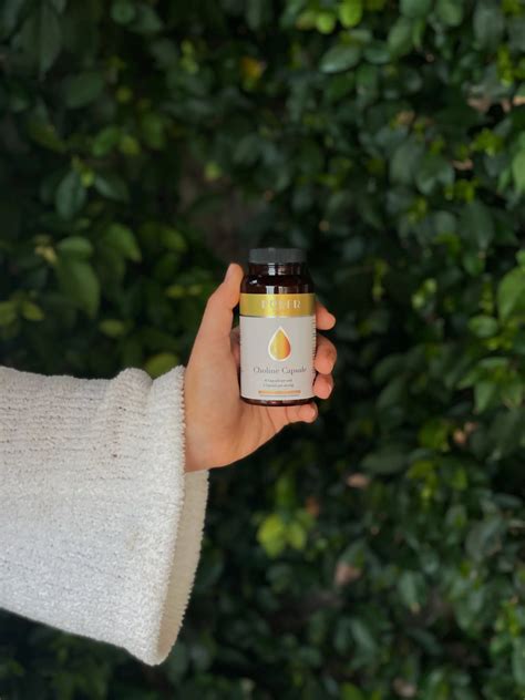 The Power Of Choline For Brain Function Bepurer