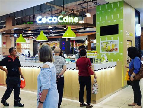 Cococane Yewtee Point