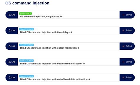 Avishay Wayne On Linkedin Portswigger Os Command Injection Labs Completed A Very Important