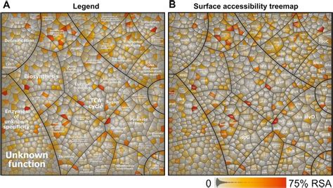 relative surface accessibility rsa treemap of cys residues identified