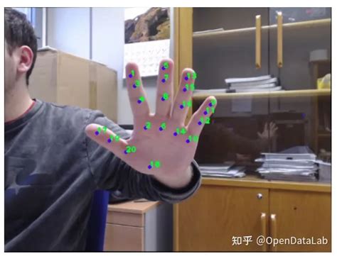 手部数据太难找？最全手部开源数据集分享csl数据集 Csdn博客