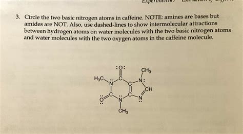 Solved 3 Circle The Two Basic Nitrogen Atoms In Caffeine