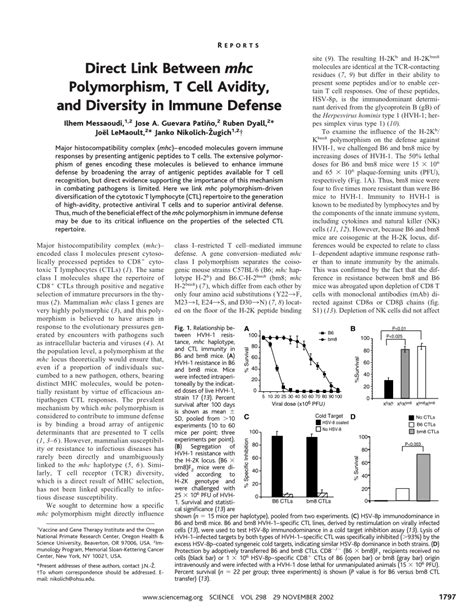 Pdf Direct Link Between Mhc Polymorphism T Cell Avidity And Diversity In Immune Defense