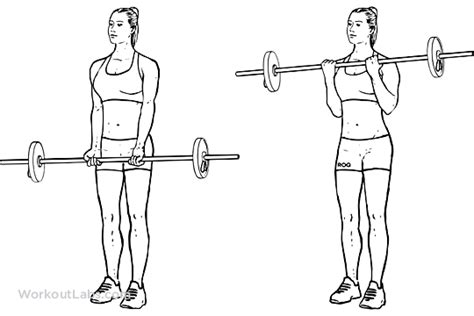 Barbell Bicep Curl