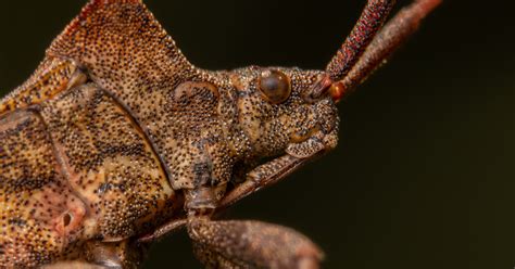 Chociaż Raz Widział Go Każdy Nikt Nie Wie że To Wtyk Straszyk Podróże