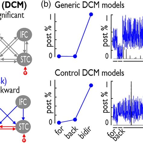 dynamic causal modeling dcm of brain activity during task‐based
