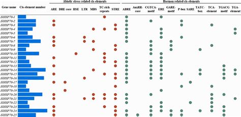 Plantcare Analysis Of Different Cis Elements Presented In The Promoter