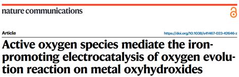 Nature Communications Active Oxygen Species Mediate The Iron Promoting Electrocatalysis Of