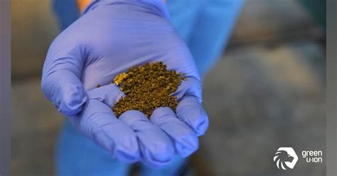 Green Li Ion Launches Commercial Scale Battery Recycling Plant In