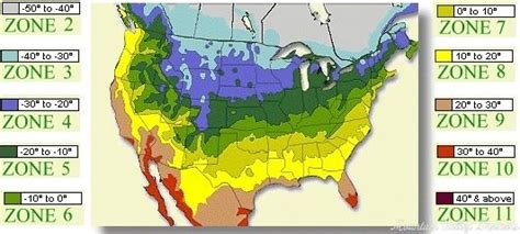 Zone 3 Map