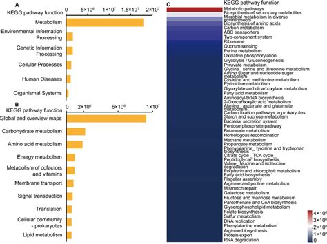 Kegg Pathway Function Predictions Of The Core Bacteria A Kegg Pathway