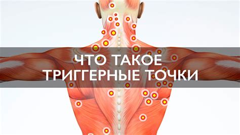 Триггерные точки | Семинар Адриано Ди Джиакомо | Сухие иглы - YouTube