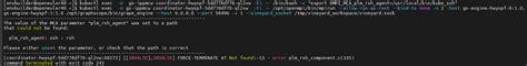 Bug Analytical Engine Launching Failed · Issue 2571 · Alibaba